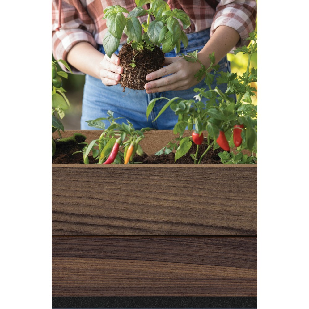 KETER DECO ELEVATED GARDEN BED Donica, 113 x 47,5 x 79,8 cm, orzech ...